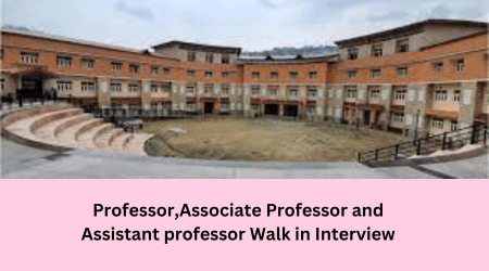 Associate professor and assistant professor walk-in-interview