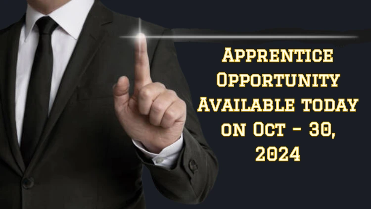 Apprentice Opportunity Available today on Oct – 30, 2024