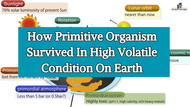 How Primitive Organism Survived In high volatile condition on Earth